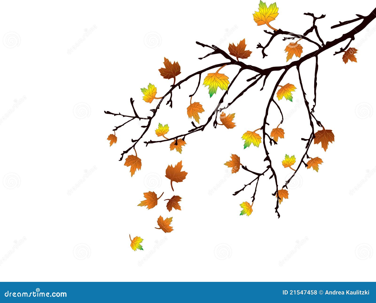 Autumn branch stock illustration. Illustration of card - 21547458