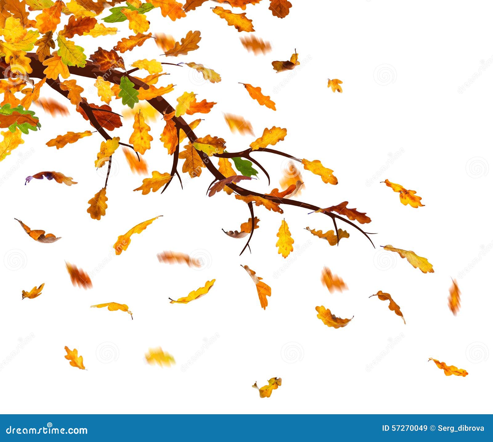 Autumn Branch stock de ilustración. Ilustración de cubo - 57270049