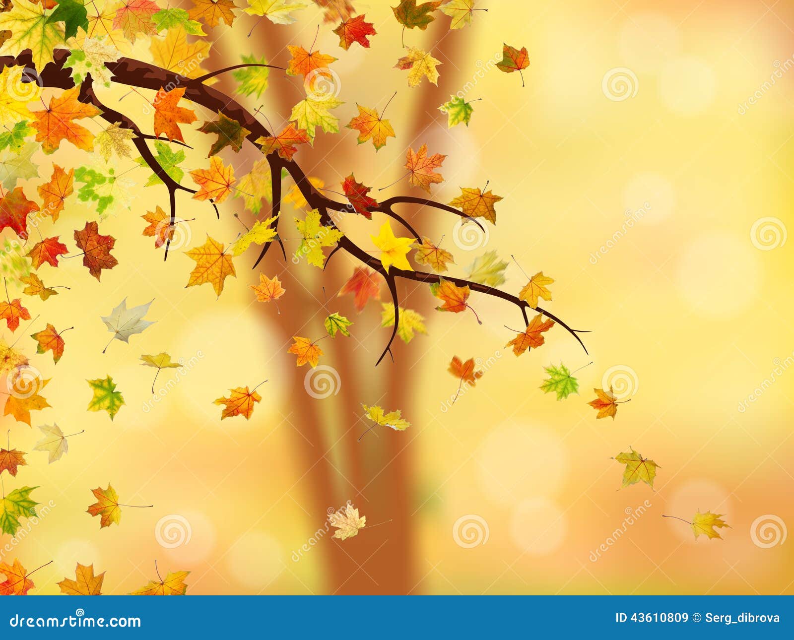 Autumn branch stock illustration. Illustration of decoration - 43610809