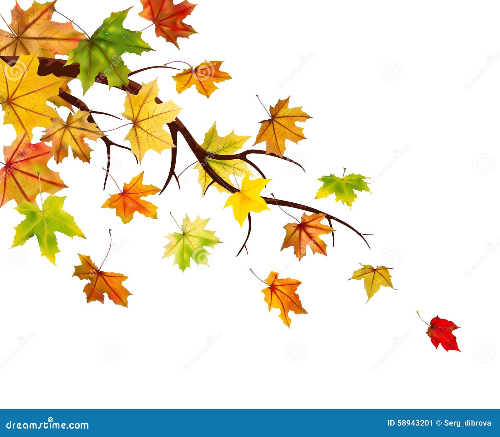 Autumn branch stock vector. Illustration of design, copy - 58943201