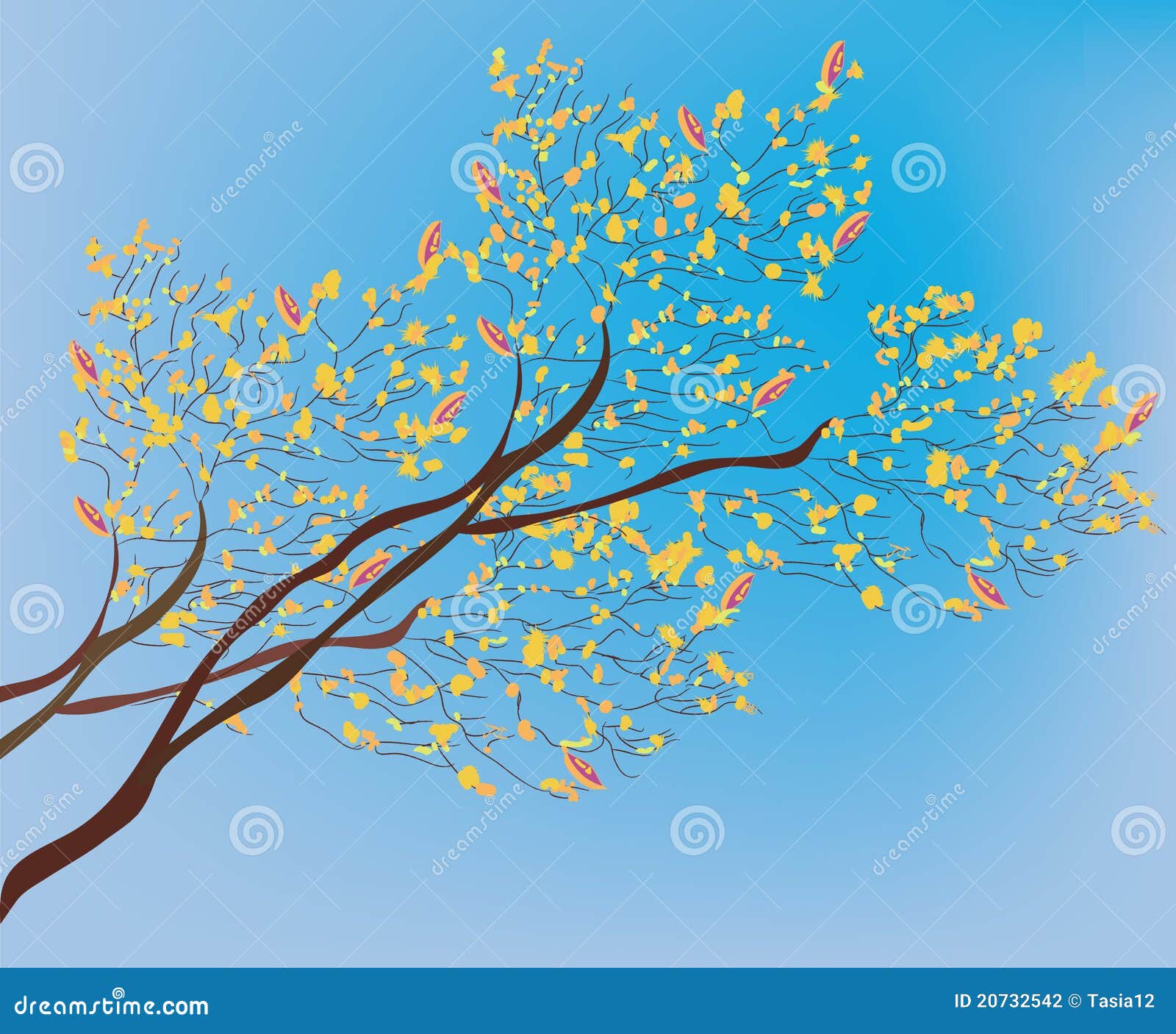 Autumn branch of tree stock vector. Illustration of painting - 20732542