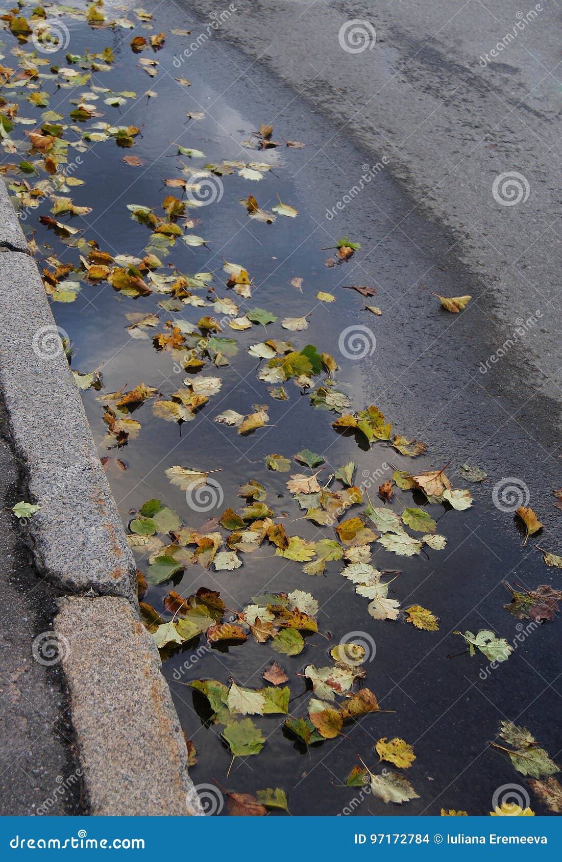 Autumn breaf stock photo. Image of autumn, road, sidewalk - 97172784