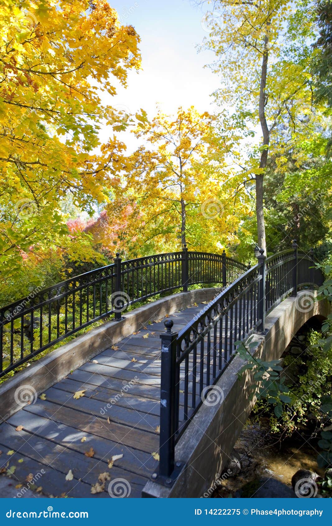 Autumn bridge stock image. Image of design, garden, plant - 14222275