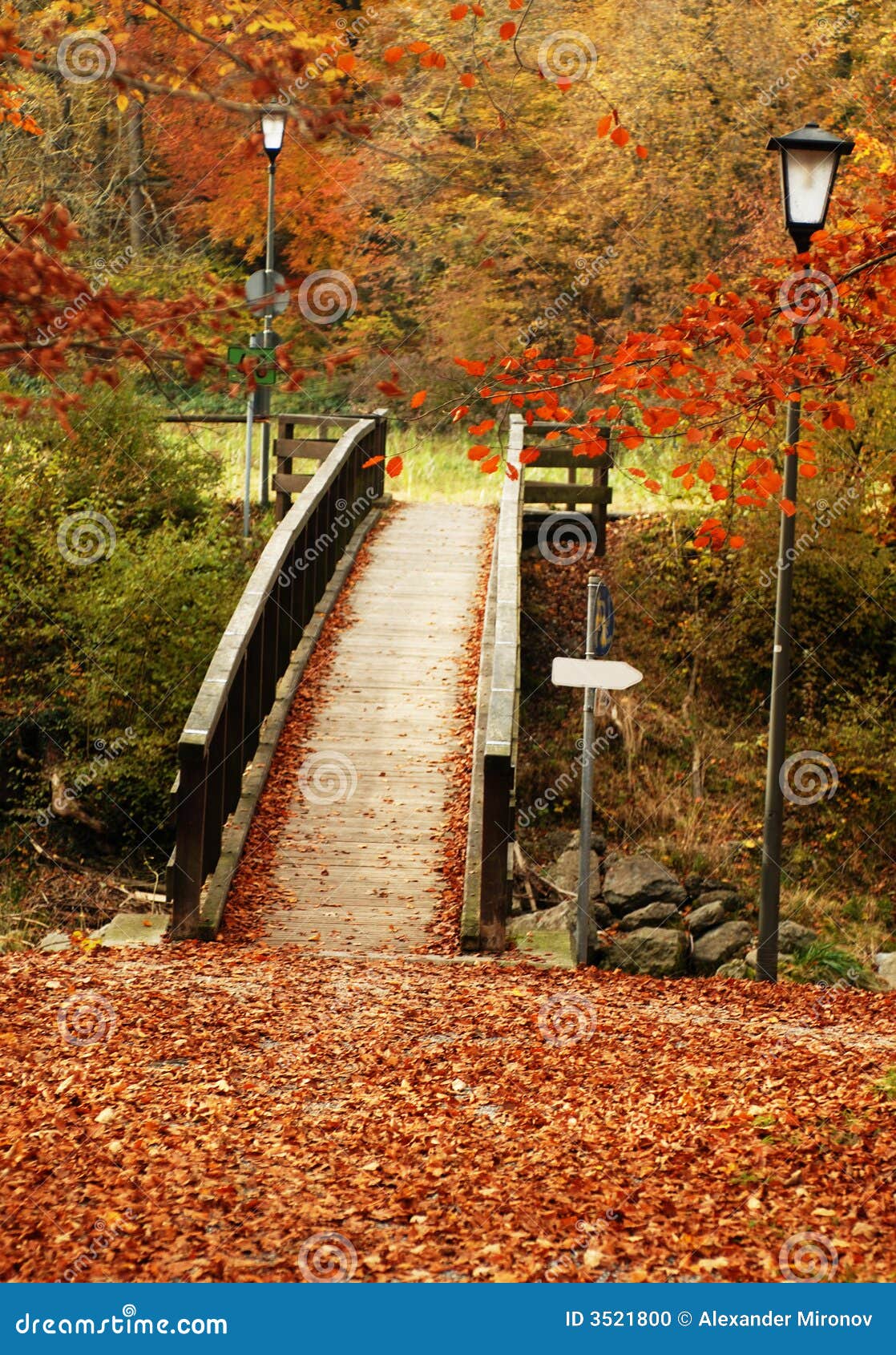 Autumn bridge stock photo. Image of hand, bush, grey, green - 3521800