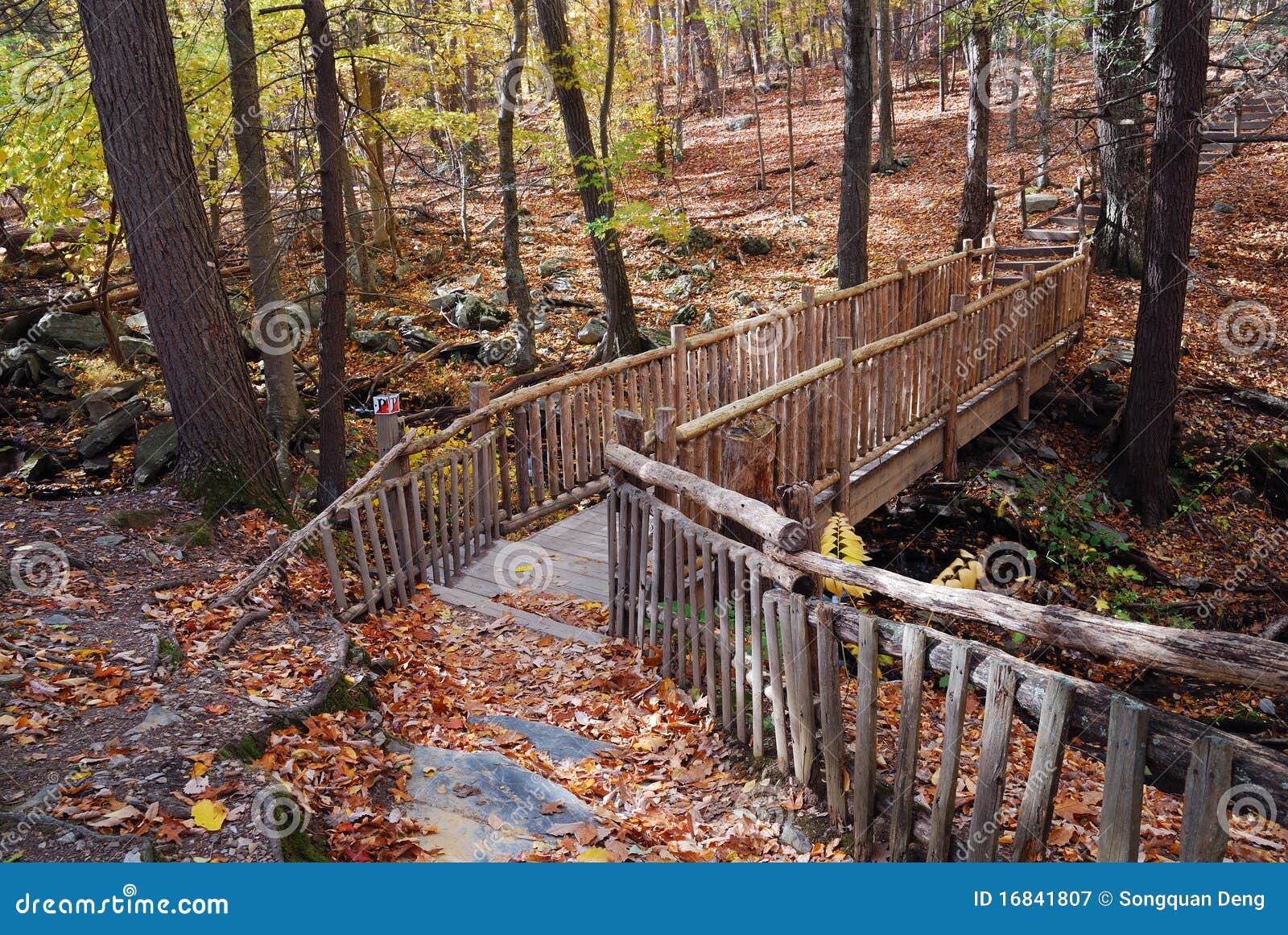 Autumn Bridge in Forest with Creek Stock Image - Image of outdoor ...
