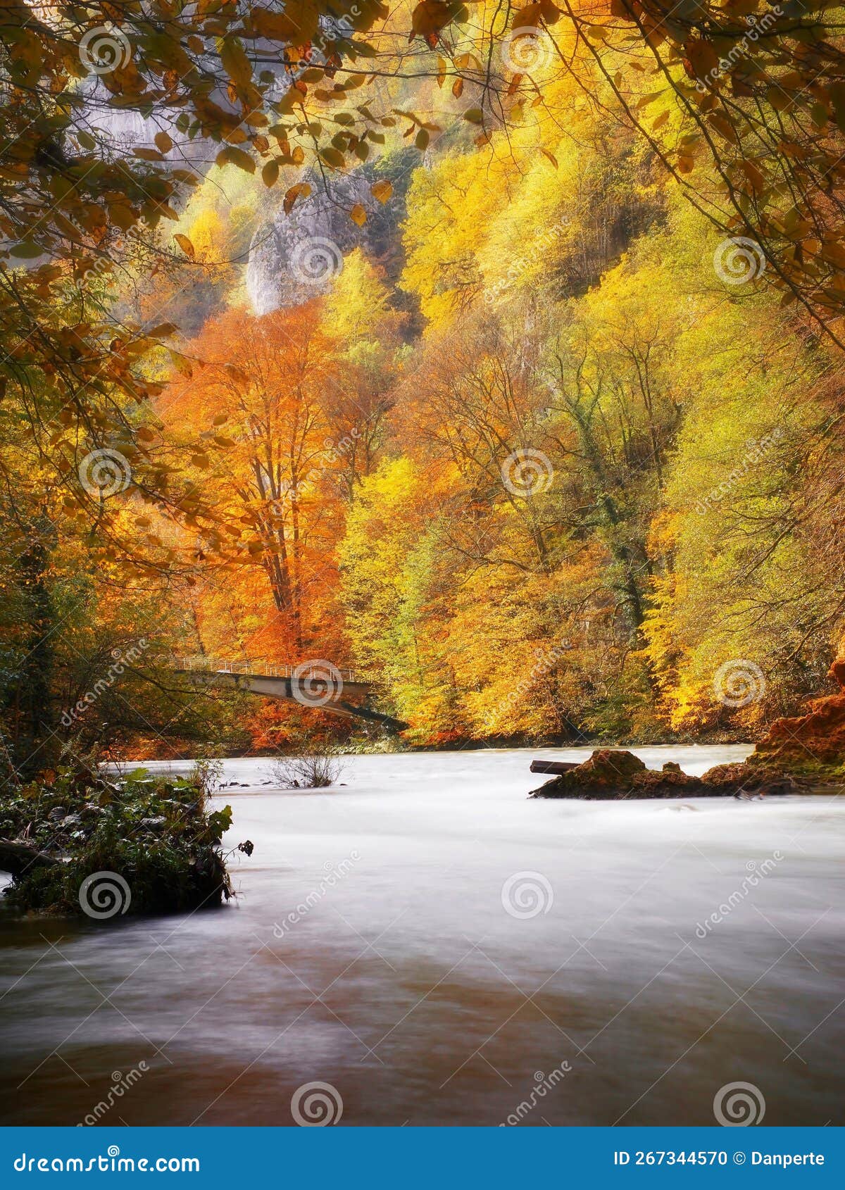 Autumn bridge stock photo. Image of woods, colours, rocks - 267344570