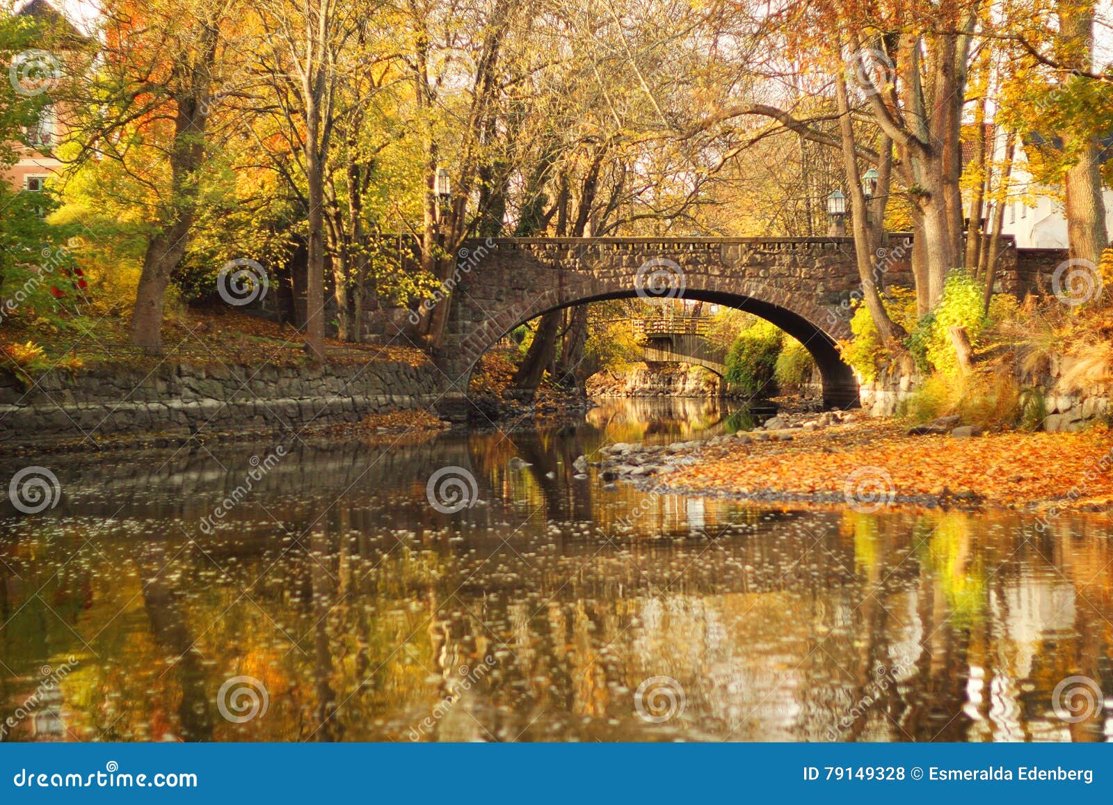 Autumn bridge stock photo. Image of glare, glow, autumn - 79149328