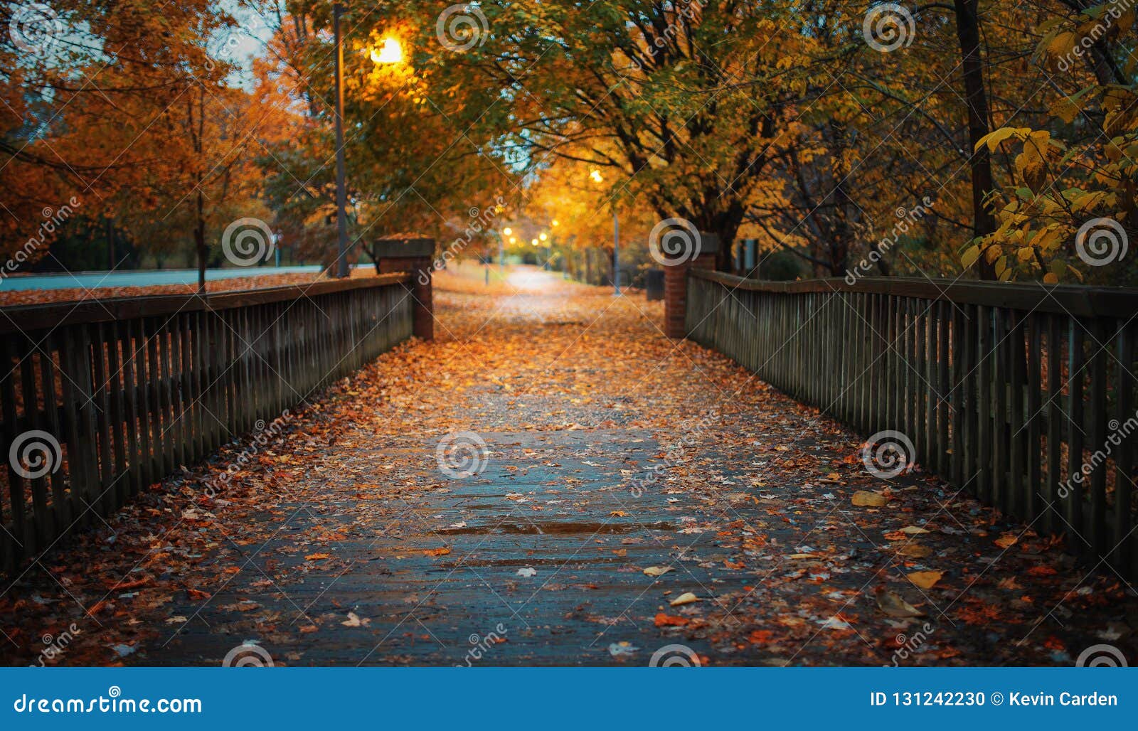 Autumn bridge stock photo. Image of hike, bridge, season - 131242230