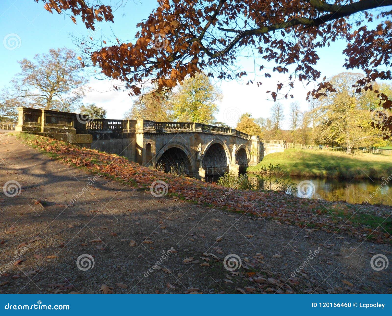 Autumn Bridge Scene in Derbyshire Stock Photo - Image of scene, fall ...