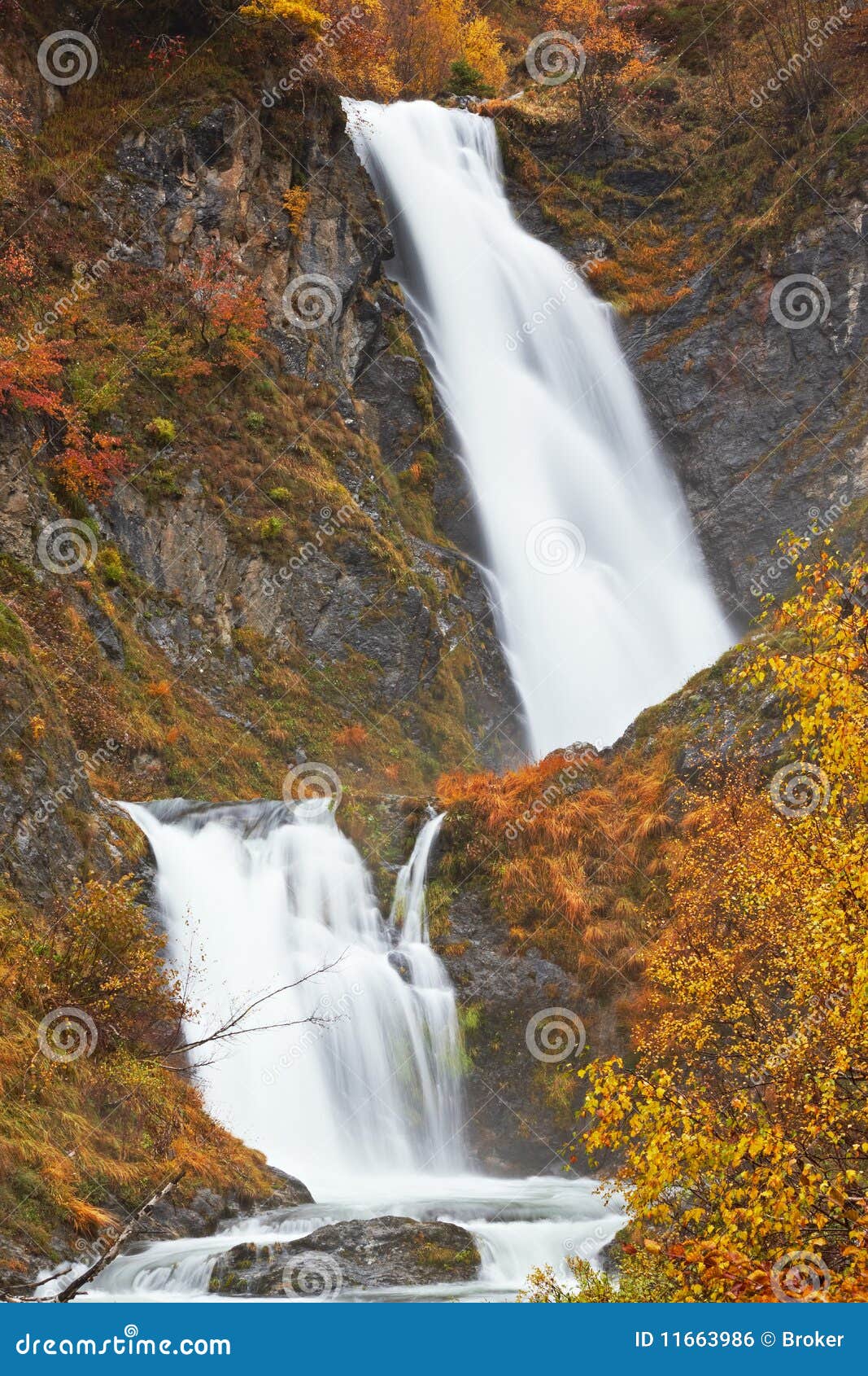 Autumn brook stock photo. Image of landscape, liquid - 11663986