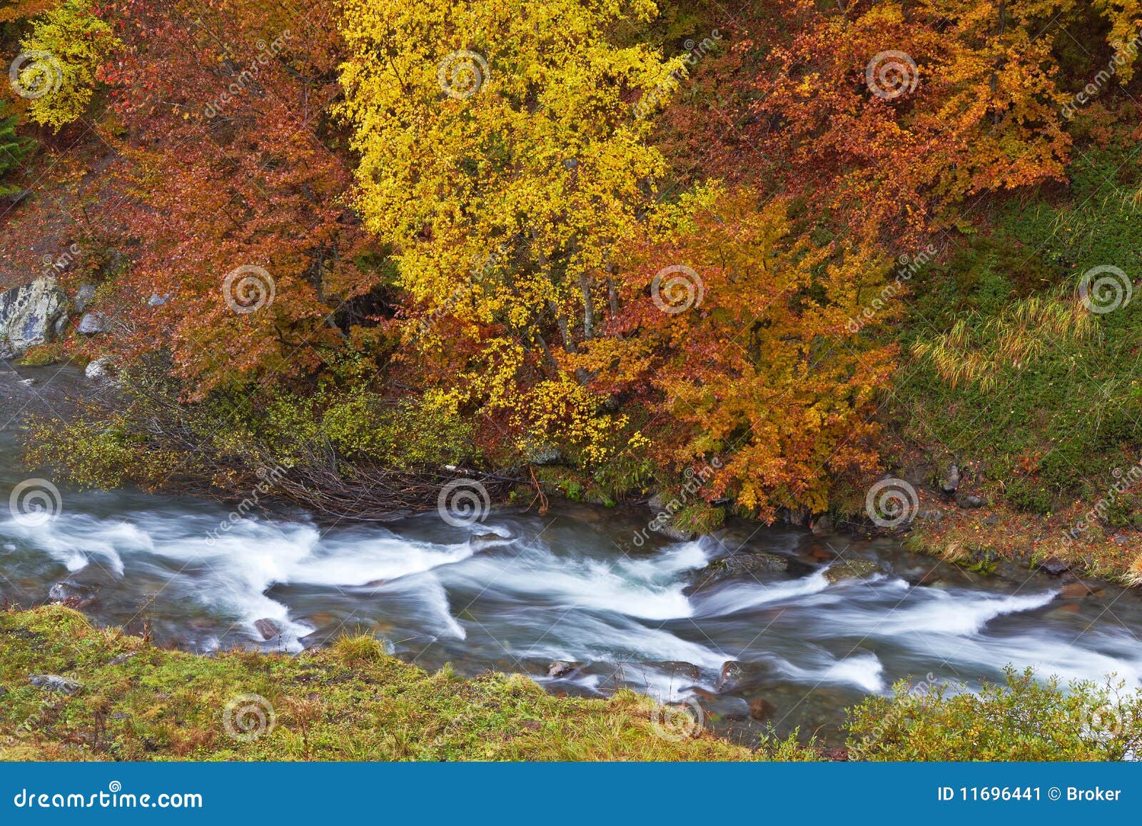 Autumn brook stock image. Image of fall, beautiful, forest - 11696441