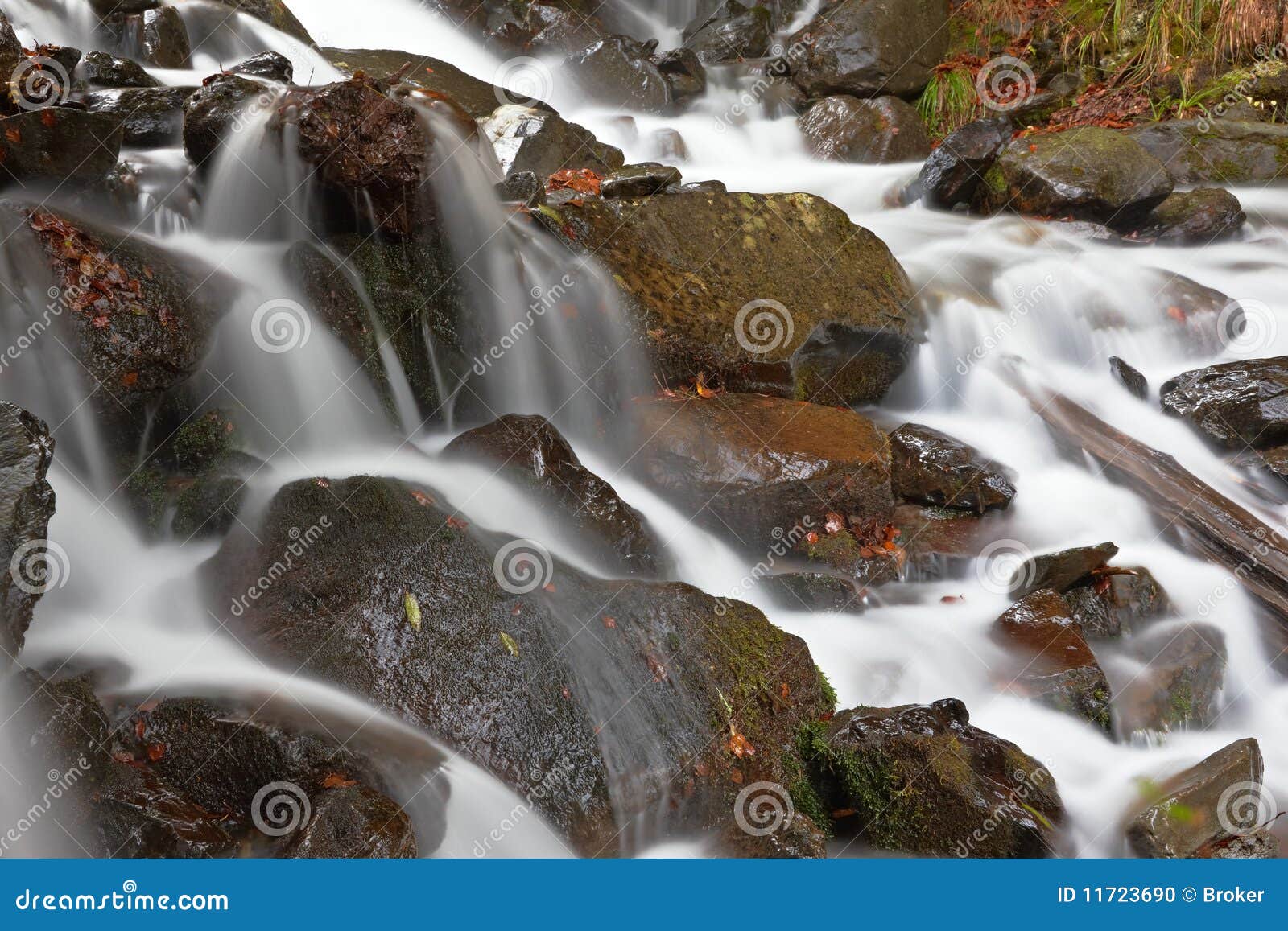 Autumn brook stock photo. Image of daylight, fall, holiday - 11723690