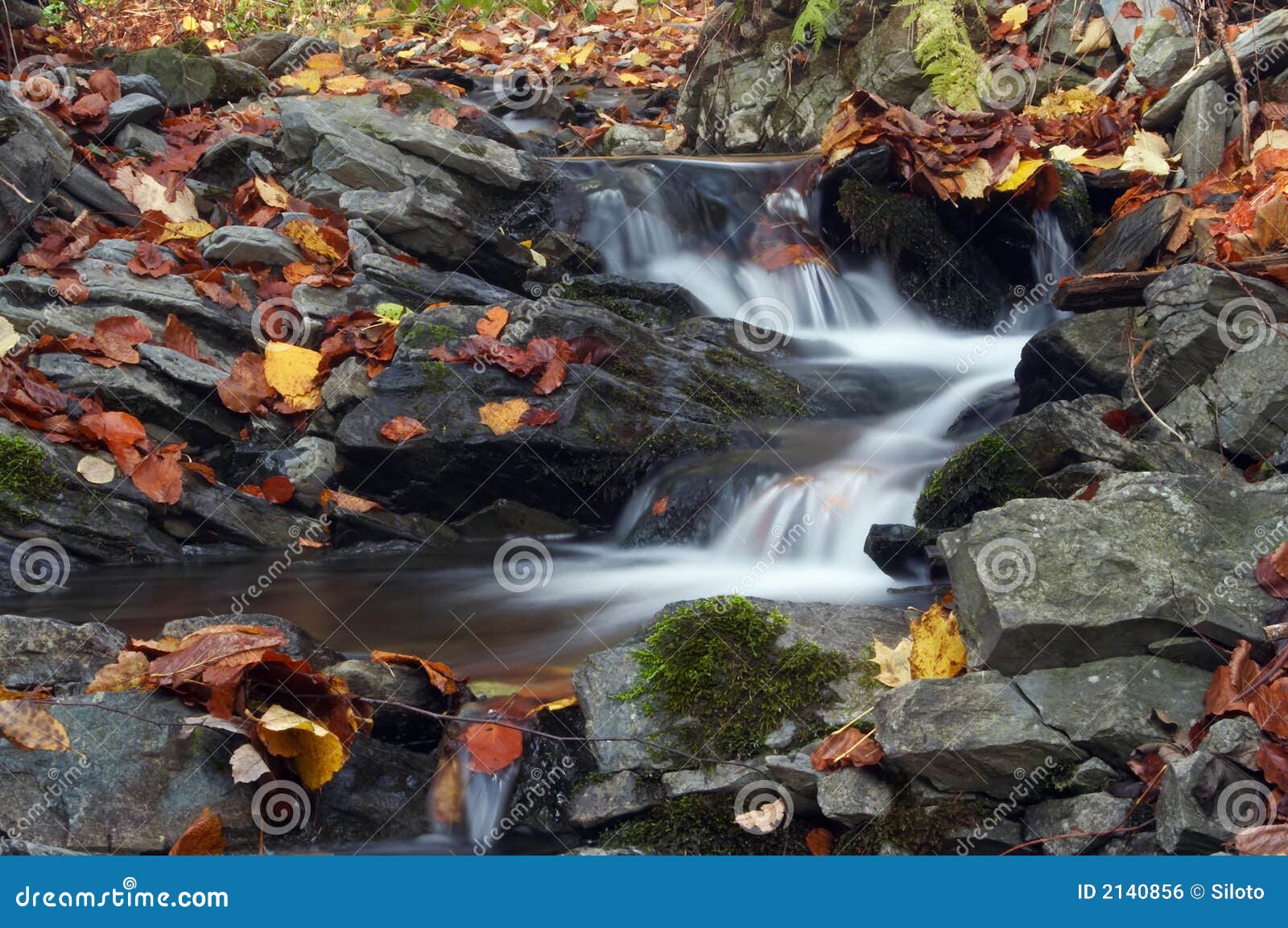 Autumn brook stock photo. Image of draft, autumn, nature - 2140856
