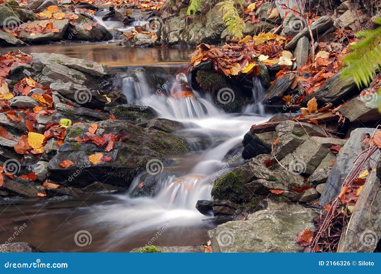 Autumn brook stock photo. Image of water, autumn, nature - 2166326