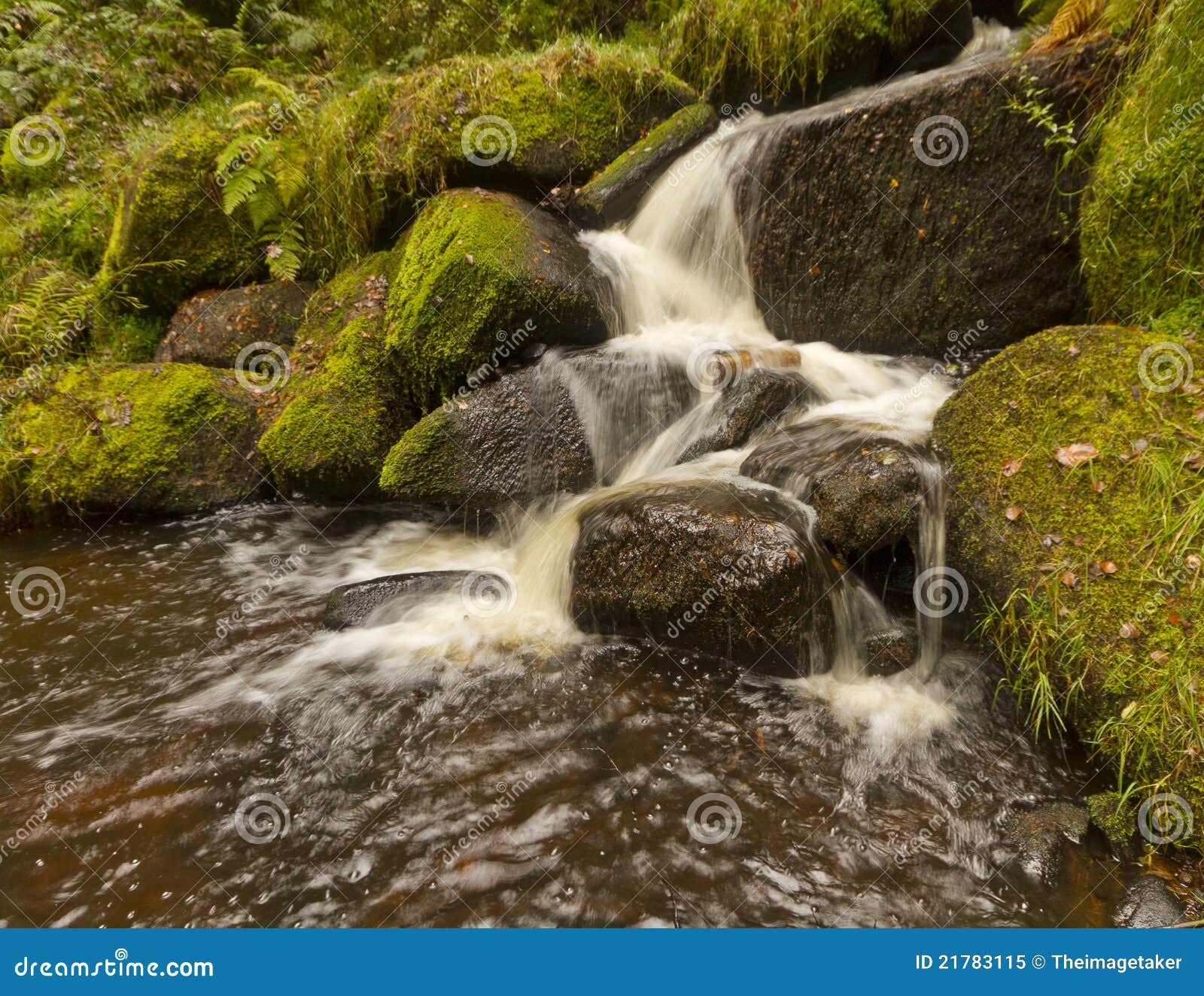Autumn Brook stock image. Image of water, trees, peaceful - 21783115