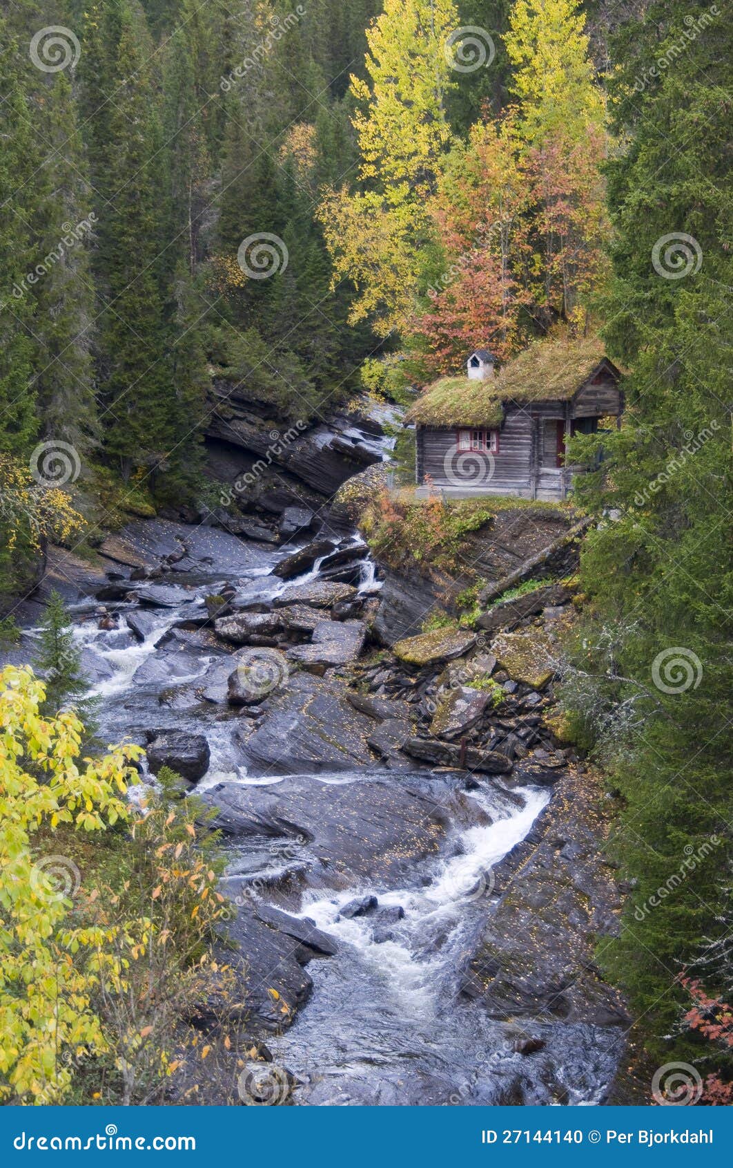 Autumn brook stock photo. Image of autumn, fall, scandinavia - 27144140