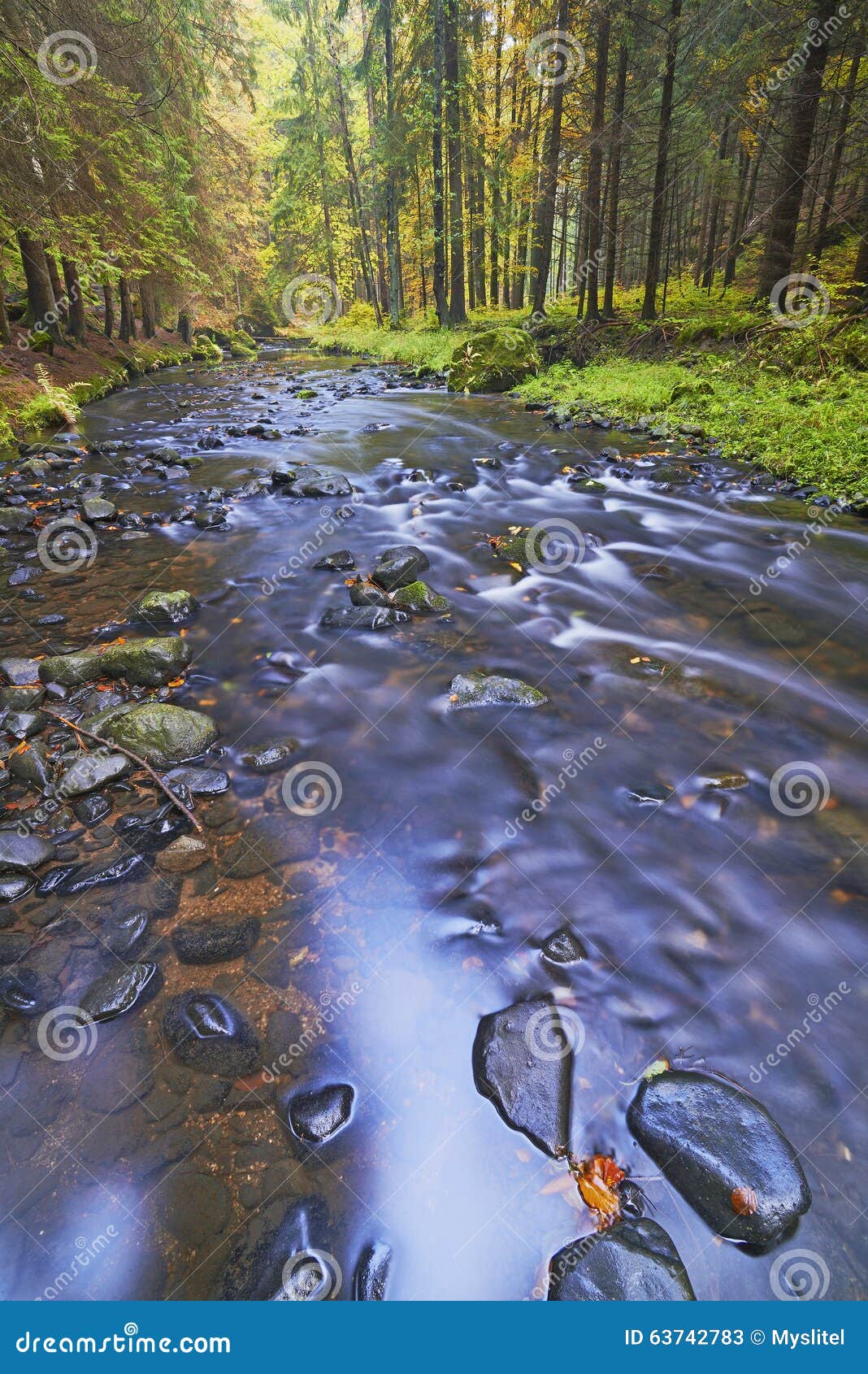 Autumn brook stock image. Image of landscape, motion - 63742783
