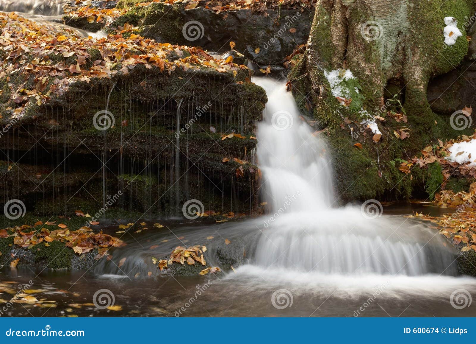 Autumn Brook Fall stock photo. Image of hiking, cold, fall - 600674