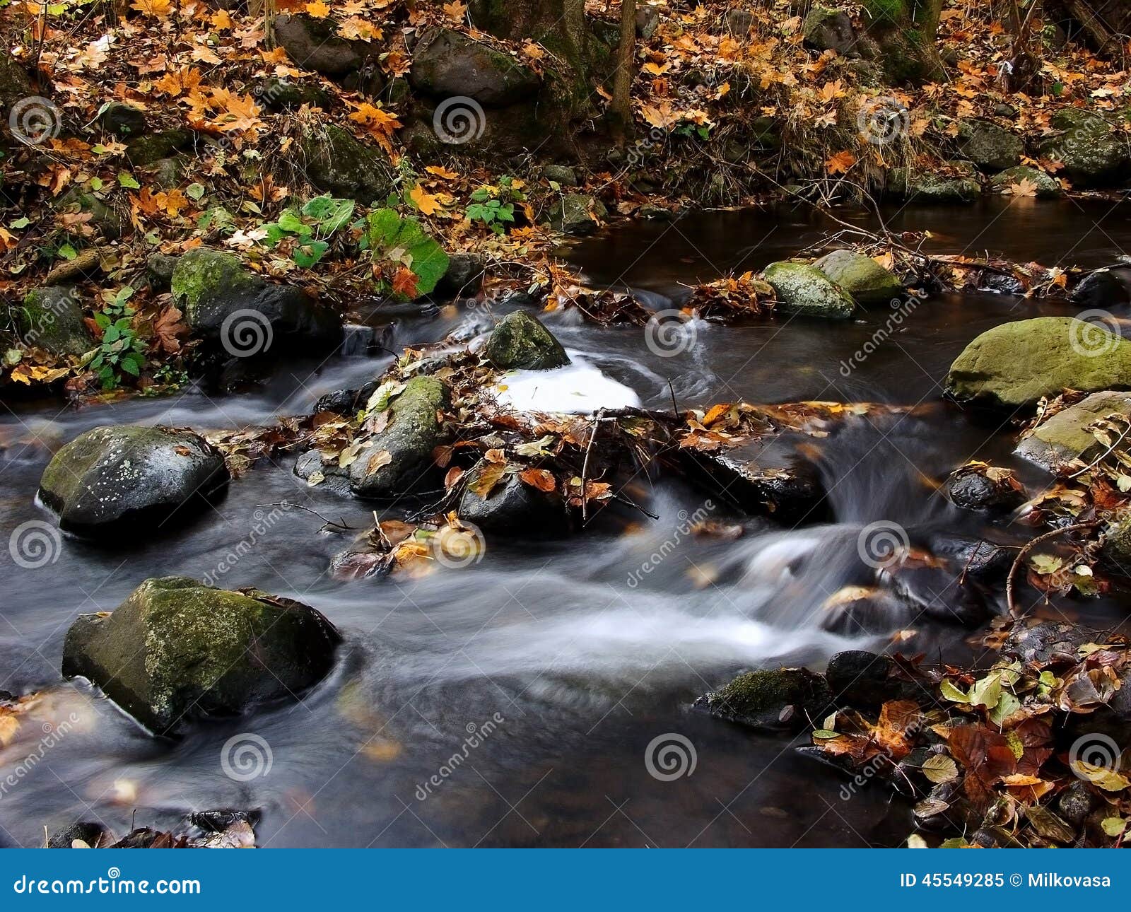 Autumn brook stock image. Image of autumnal, color, season - 45549285