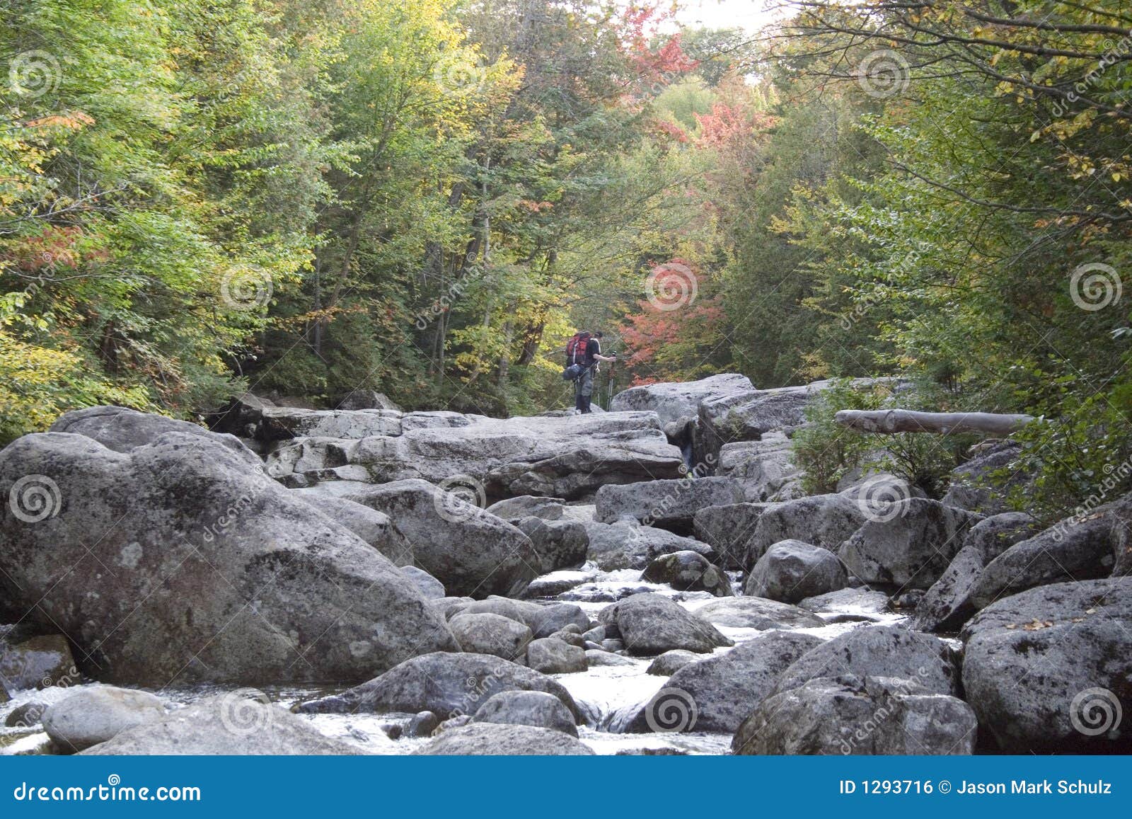 Autumn Brook Hiker Crossing Stock Photo - Image of hiking, trees: 1293716