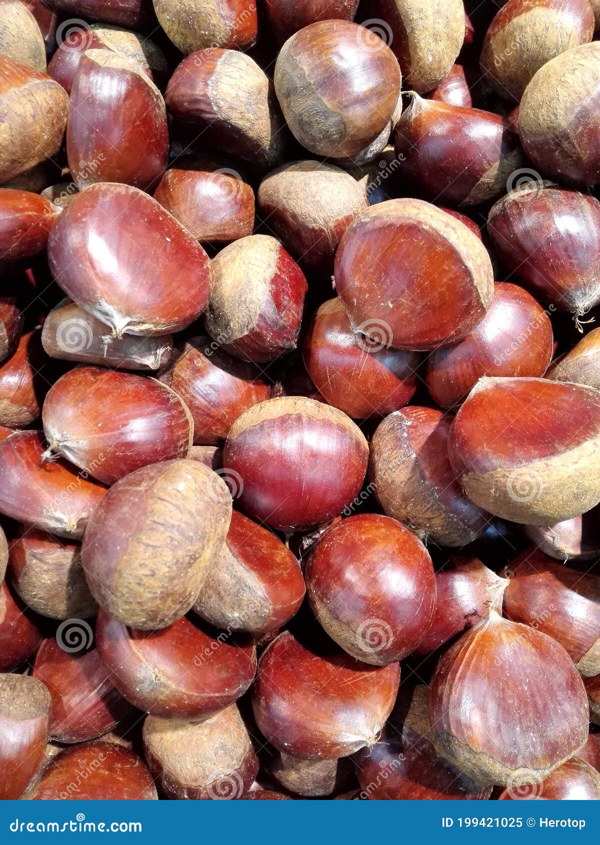 The Chestnuts Tiled Background Image, Shot Vertically. Stock Image ...