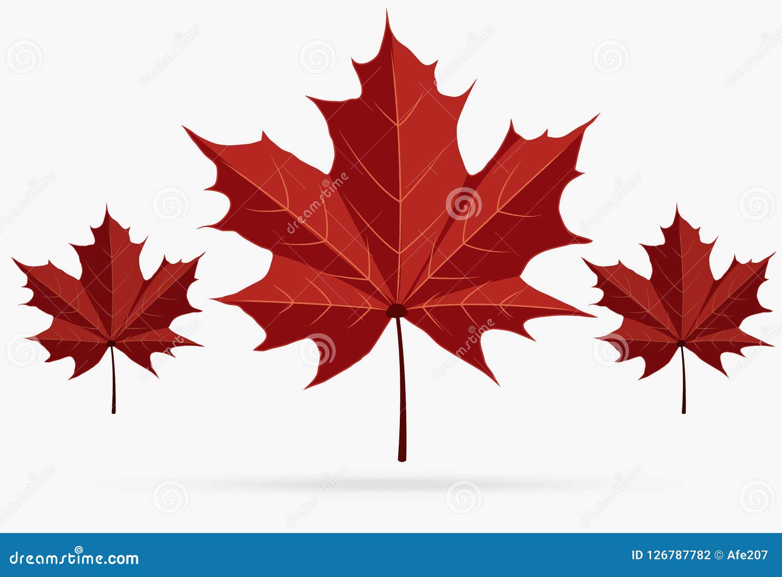 Autumn Brown Maple Leaf Fall Isolated on White Background Stock Vector ...
