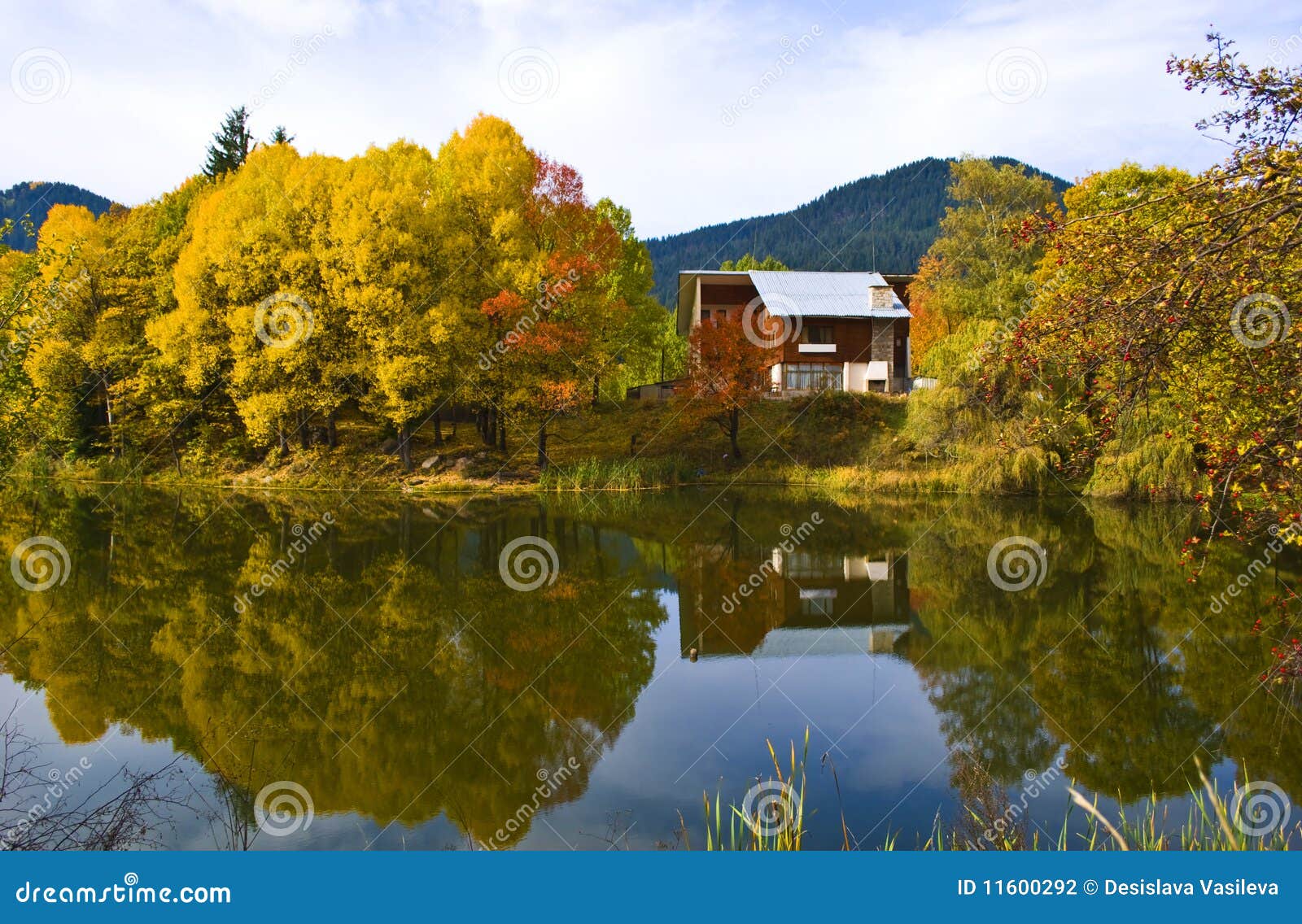 Autumn in Bulgaria stock photo. Image of autumn, orange - 11600292