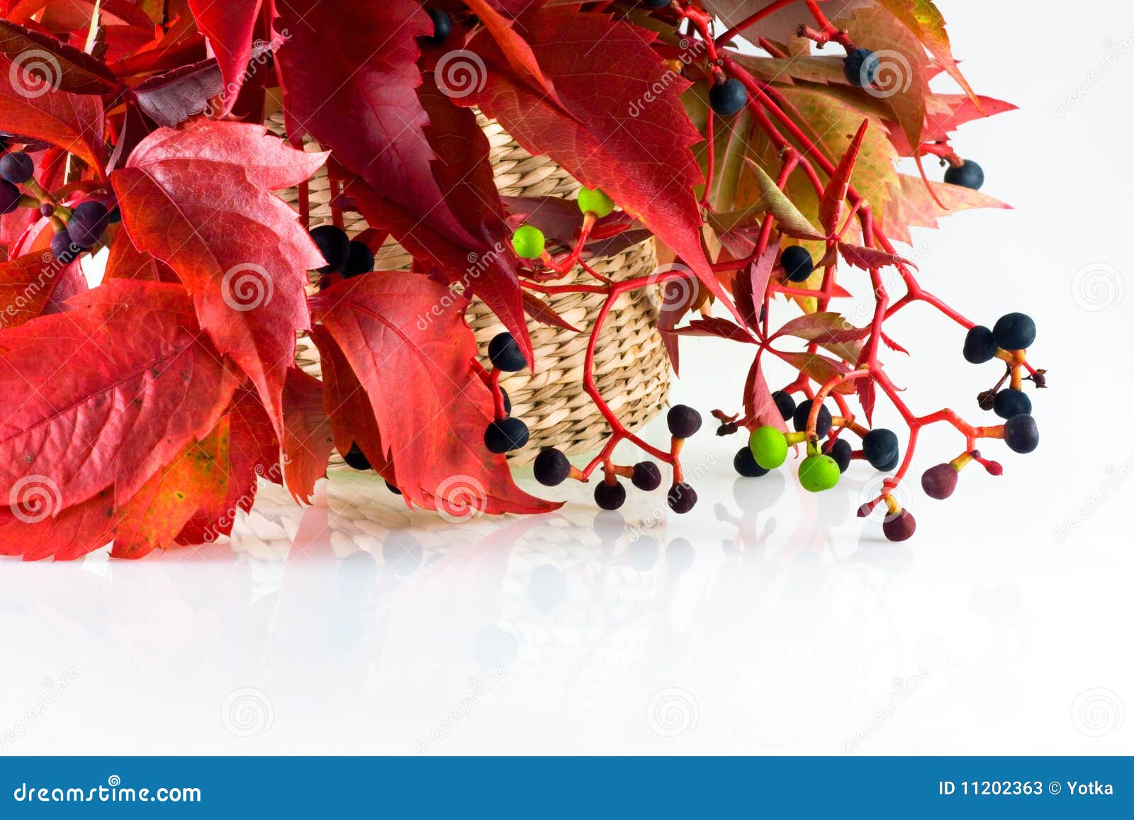 Autumn bunch of leaves stock image. Image of closeup - 11202363