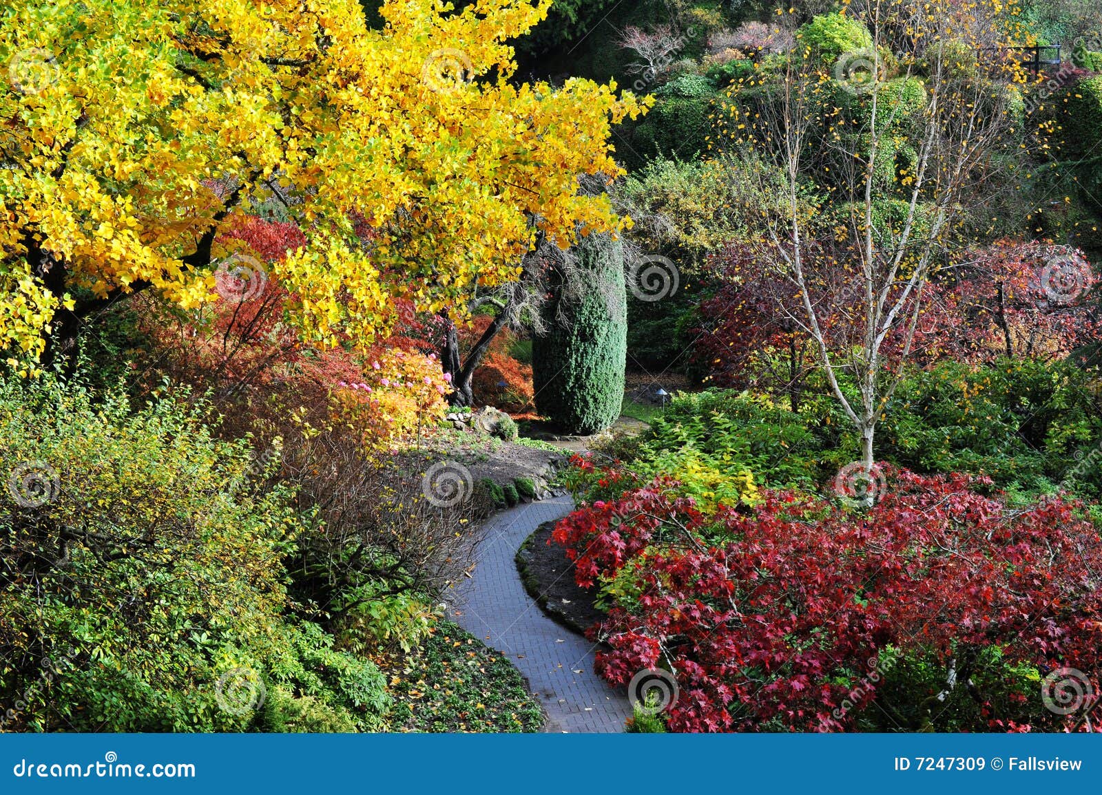 Autumn butchart gardens stock image. Image of display - 7247309