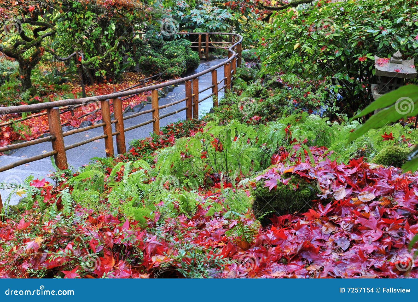 Autumn butchart gardens stock photo. Image of gardens - 7257154