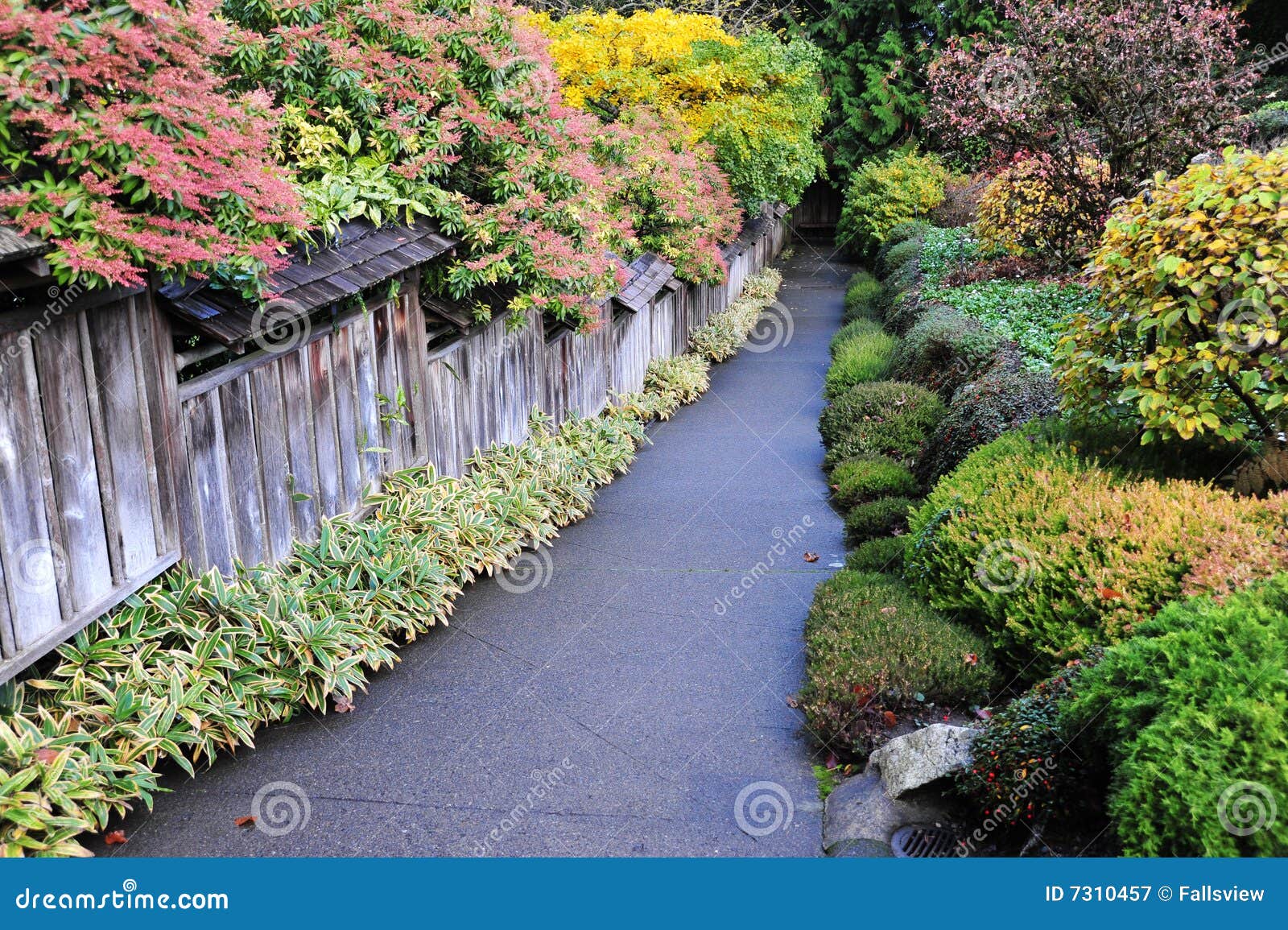 Autumn butchart gardens stock image. Image of gardening - 7310457