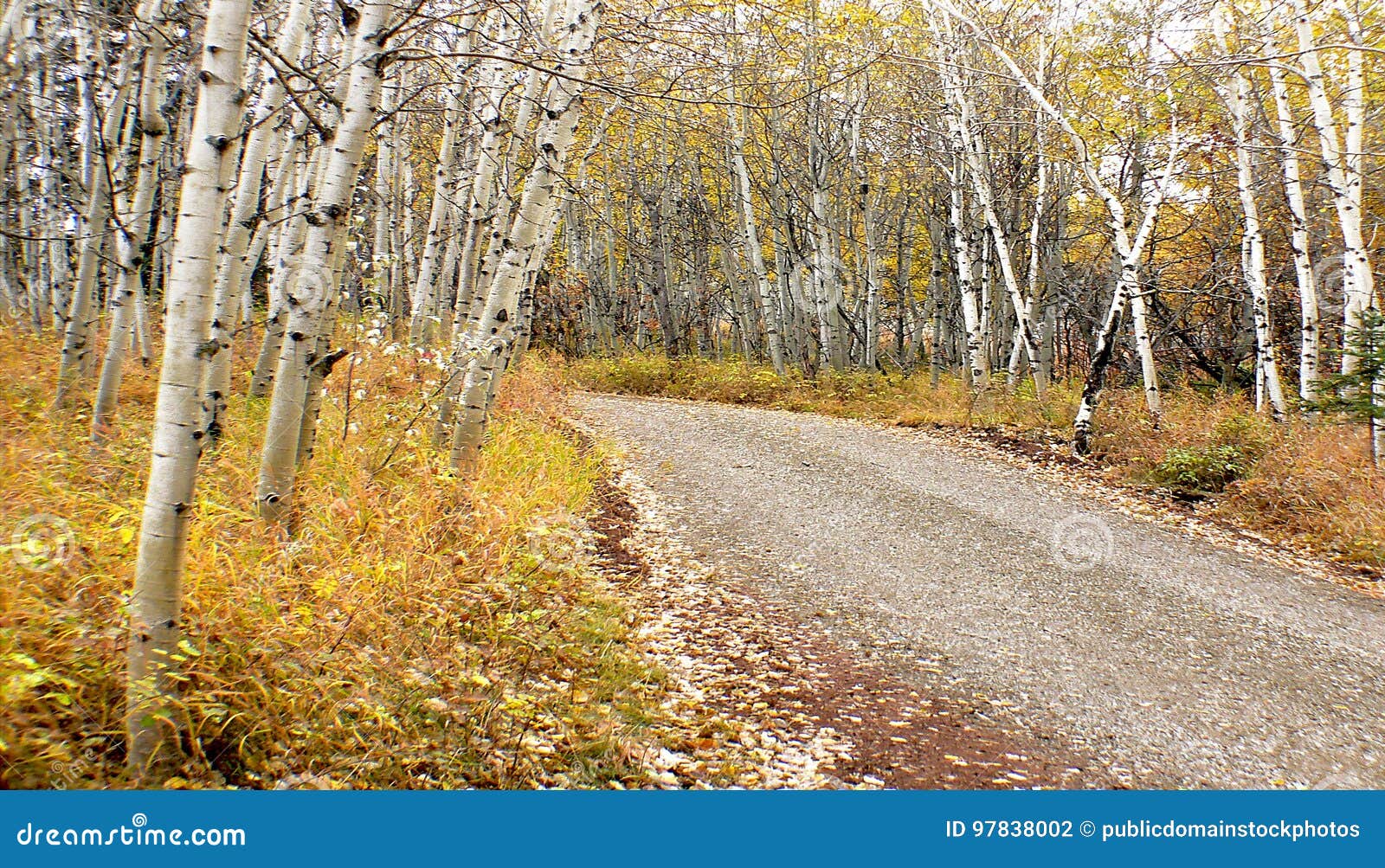 Autumn Calgary Alberta ( 9) Bild. Bild: 97838002