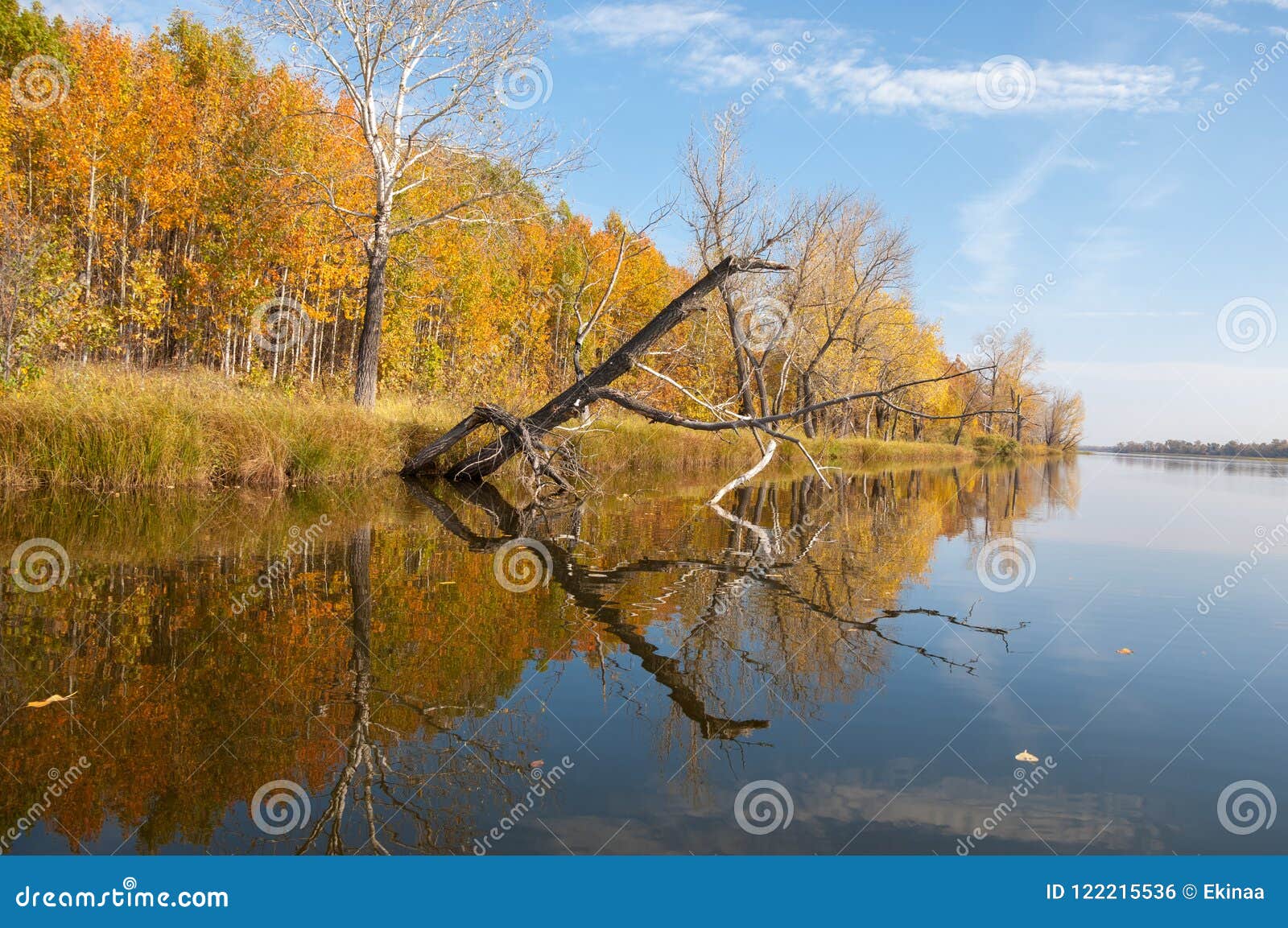 Autumn Calm on the Lake Reflection of Trees in Water Stock Photo ...
