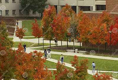 Autumn on Campus stock photo. Image of class, campus, school - 468820