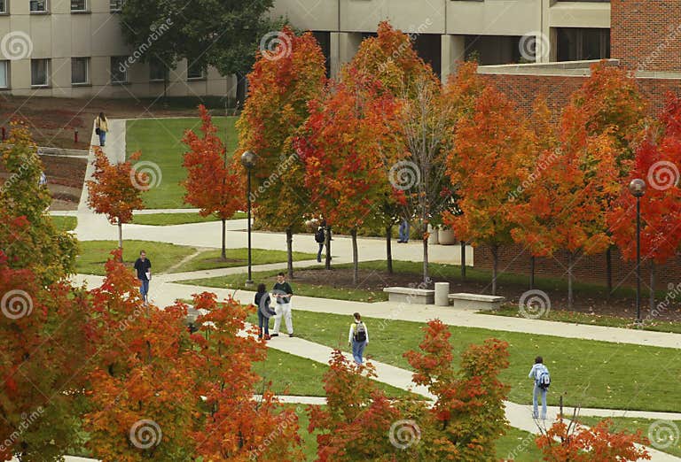 Autumn on Campus stock photo. Image of class, campus, school - 468820