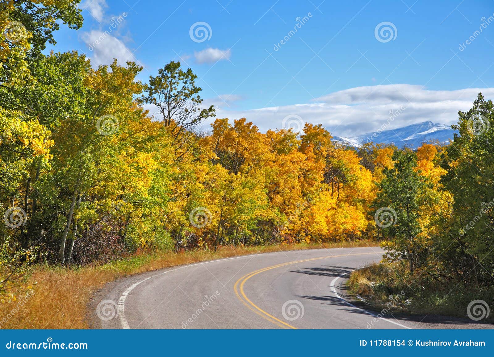 Autumn in Canada. stock photo. Image of orange, canada - 11788154