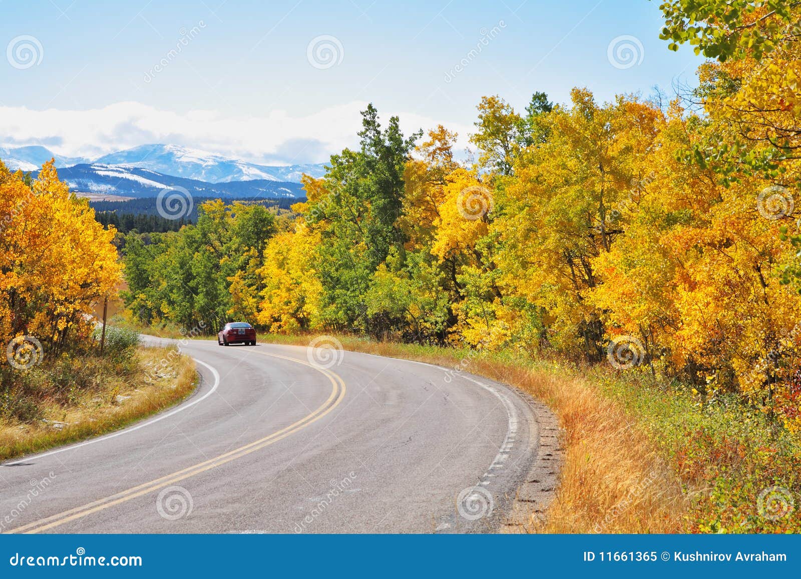 Autumn in Canada. the Road Abruptly Turns Stock Image - Image of tree ...