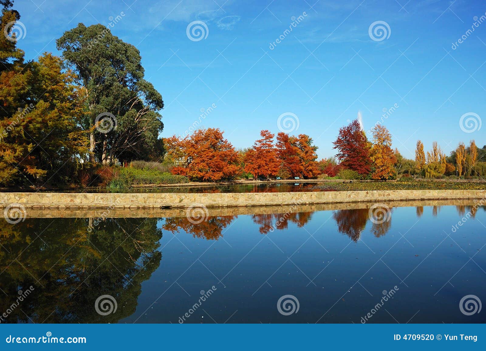 Autumn in Canberra stock photo. Image of peaceful, scenery - 4709520