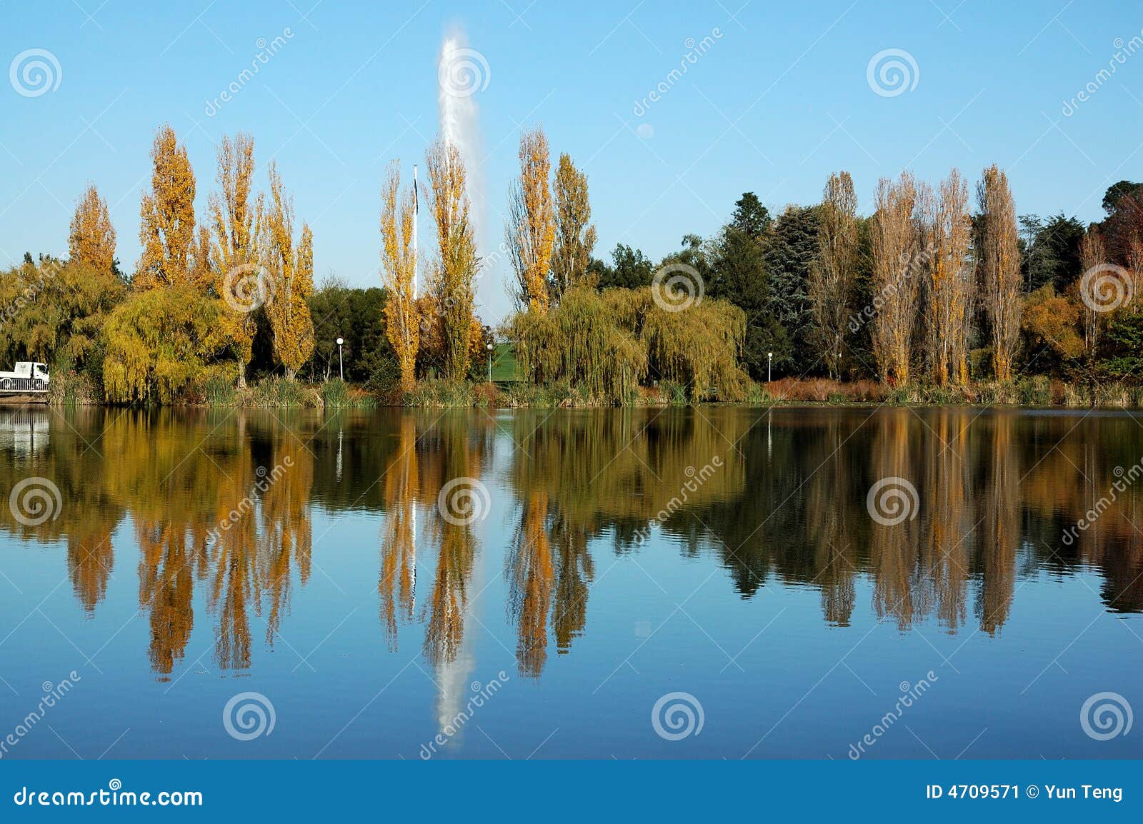 Autumn in Canberra stock image. Image of colour, bright - 4709571