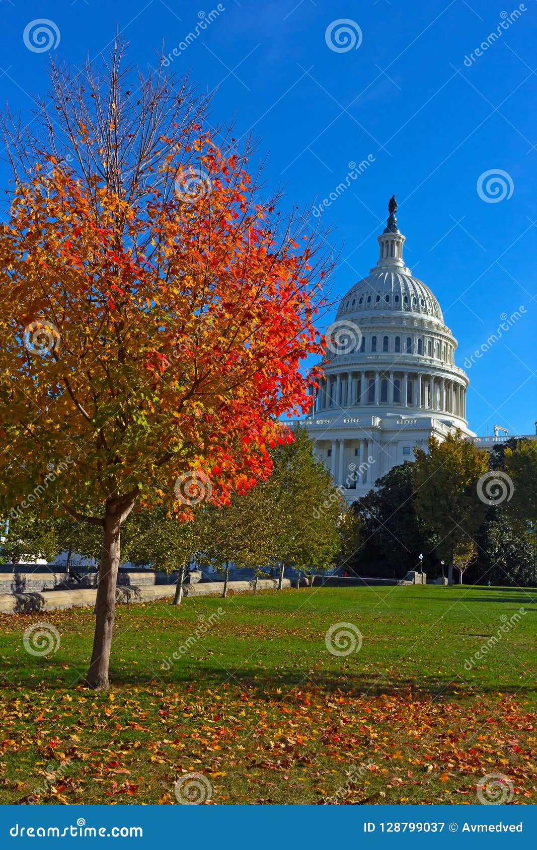 Autumn on Capitol Hill in Washington DC, USA. Stock Image - Image of ...