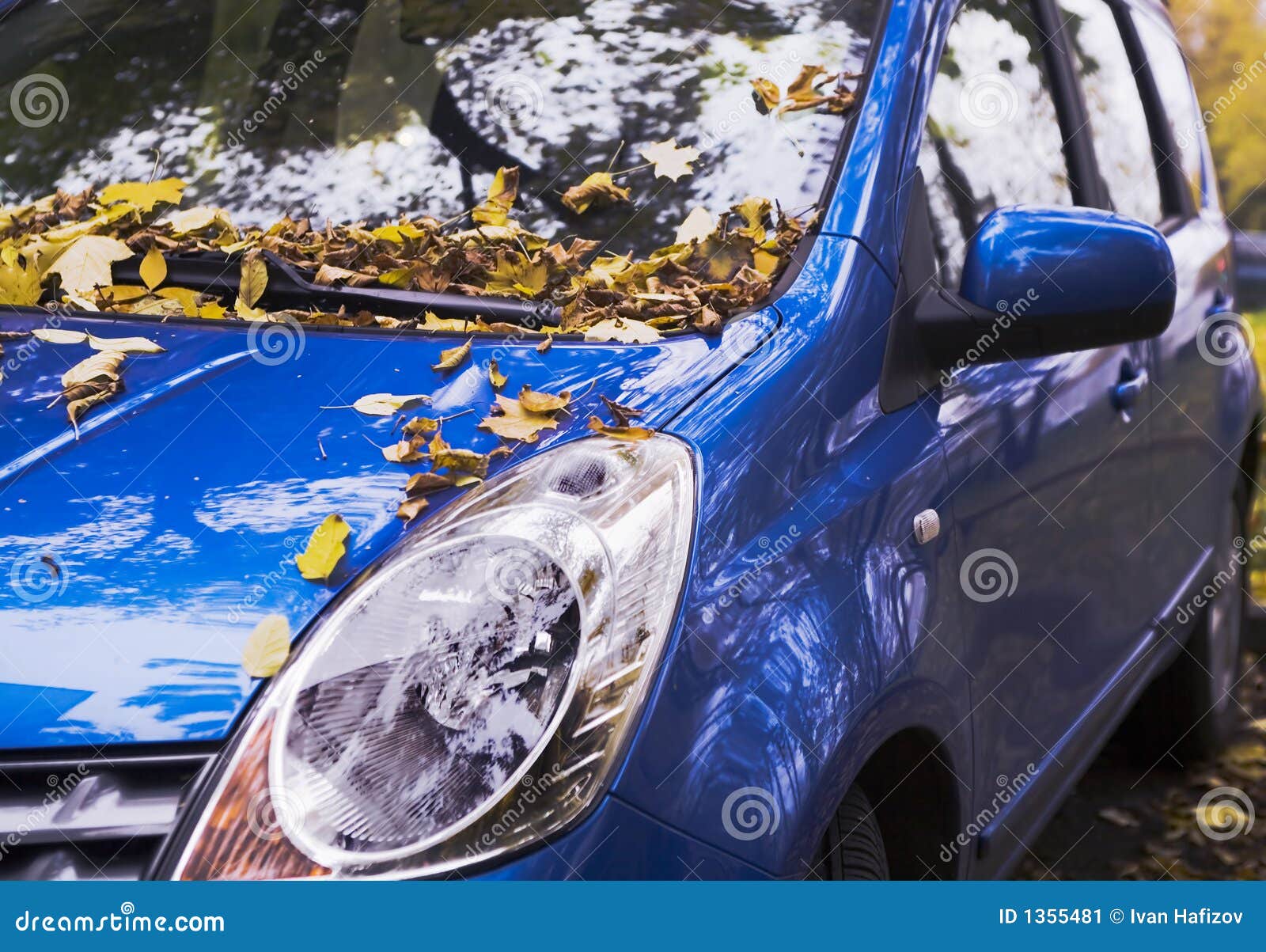 An autumn car stock image. Image of october, maple, countryside - 1355481