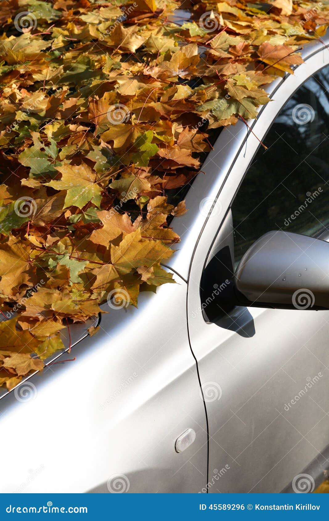 Autumn Car stock photo. Image of transport, weather, diversity - 45589296