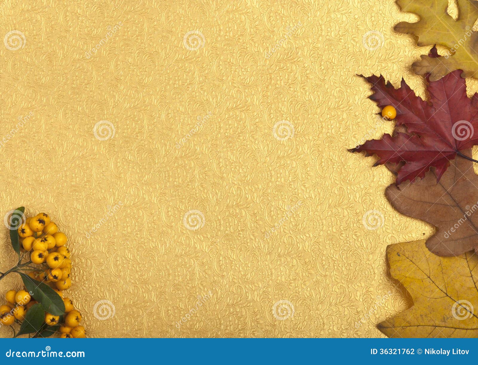 Autumn Card stock photo. Image of background, card, green - 36321762