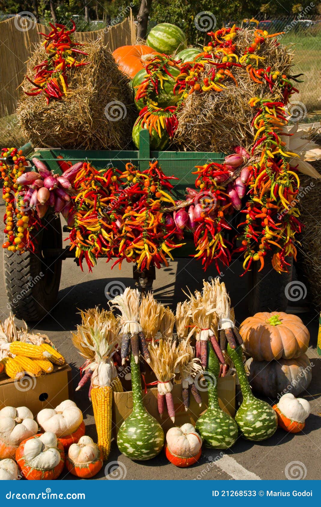 Autumn cart stock image. Image of abundance, fall, gourd - 21268533