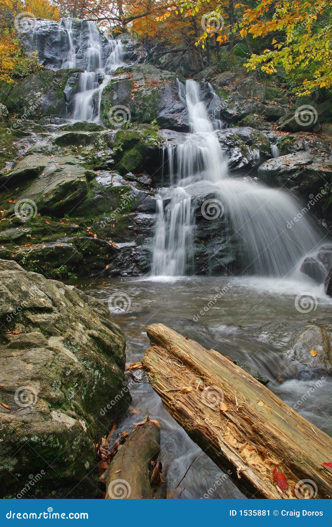 Autumn Cascade stock image. Image of leaves, autumn, gentle - 1535881