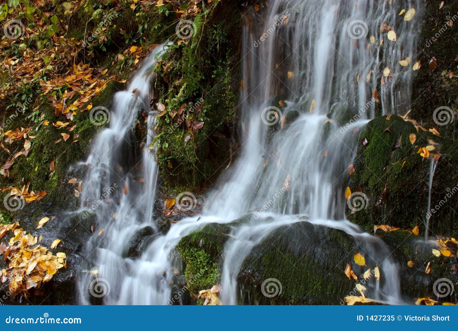 Autumn Cascade Alpha Picture. Image: 1427235