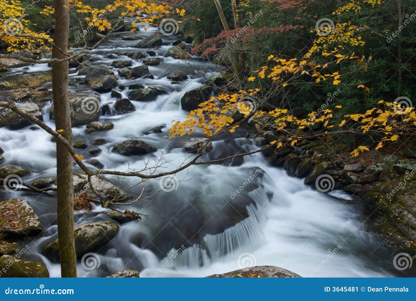 Autumn Cascade Smoky Mountains Stock Image - Image of fall, smoky: 3645481