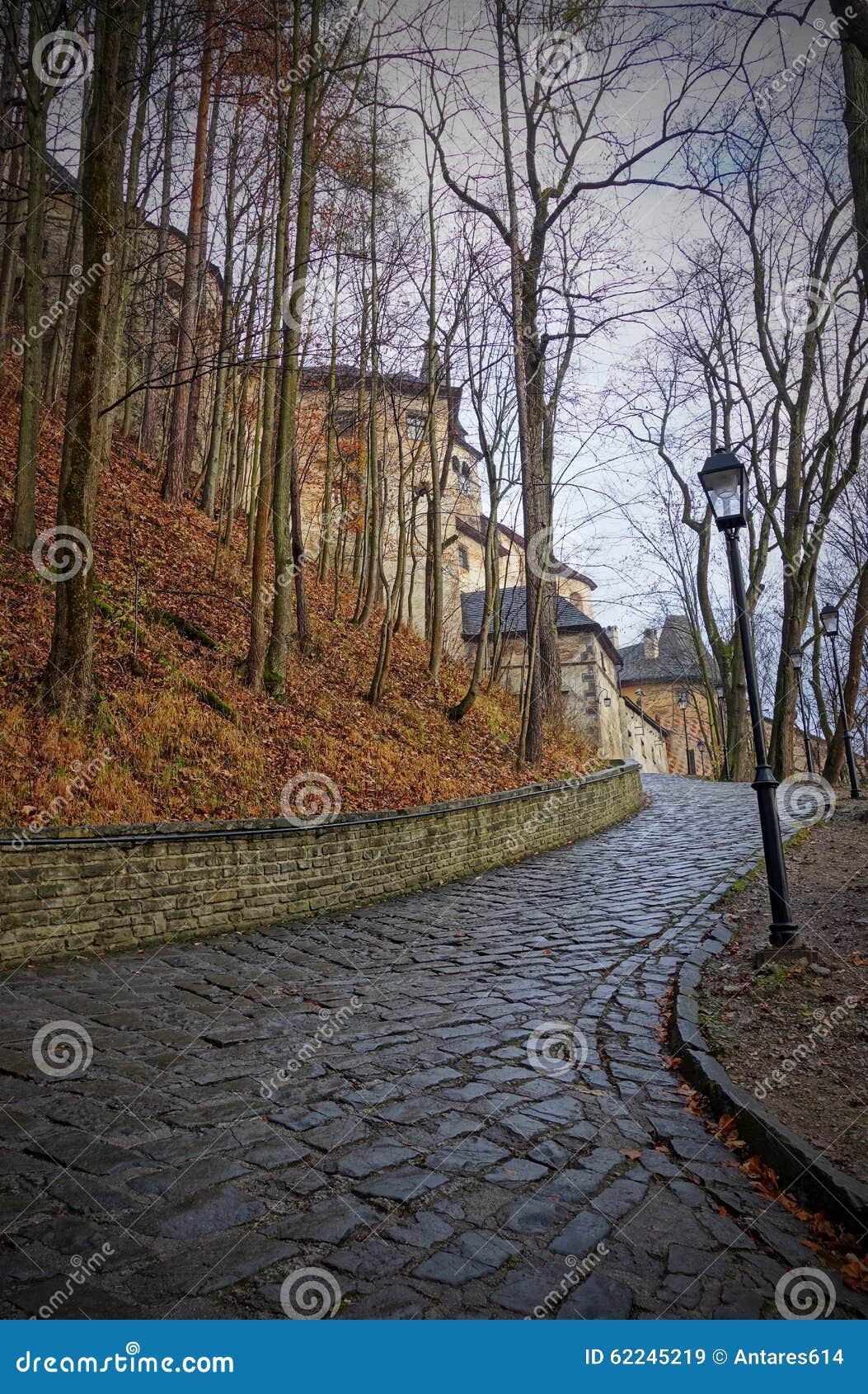 Autumn castle path stock image. Image of road, leading - 62245219