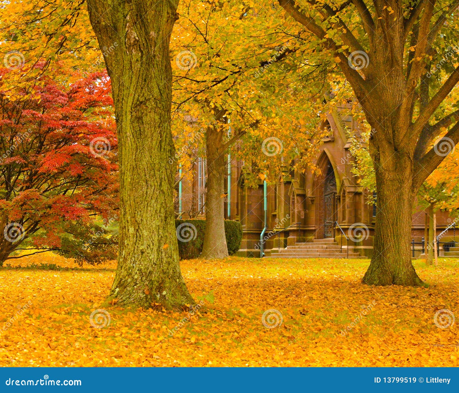 Autumn at the Cathedral stock image. Image of gold, autumn - 13799519