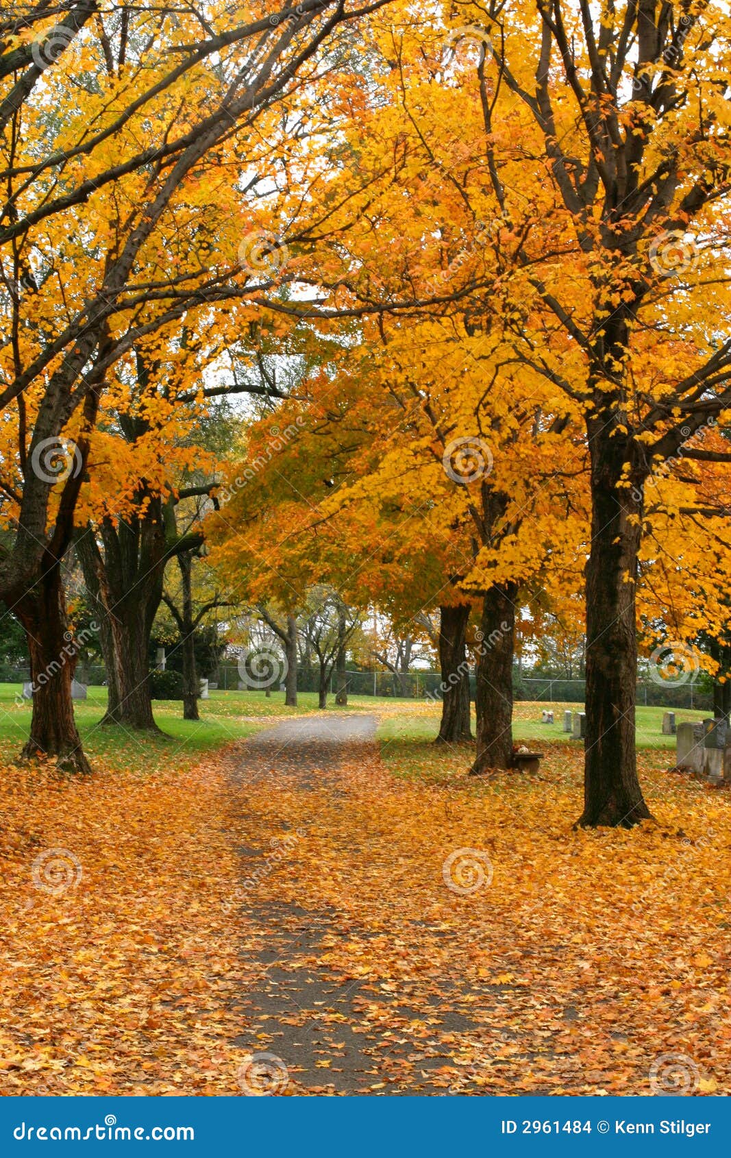 Autumn Cemetery stock photo. Image of peace, beauty, cemetery - 2961484